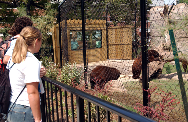 Baylor To Dedicate New Bear Habitat | Media Communications | Baylor ...