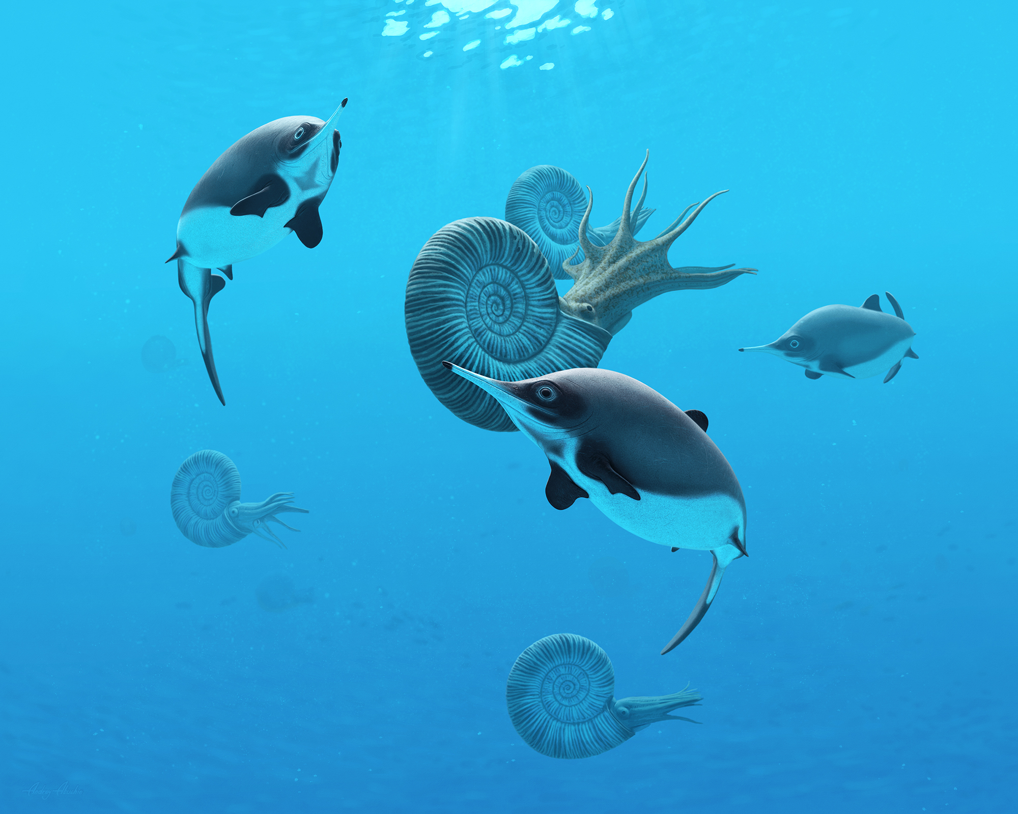 Fishing Rod 'Selfie Stick' and Scientific Sleuthing Lead to Clues about ...