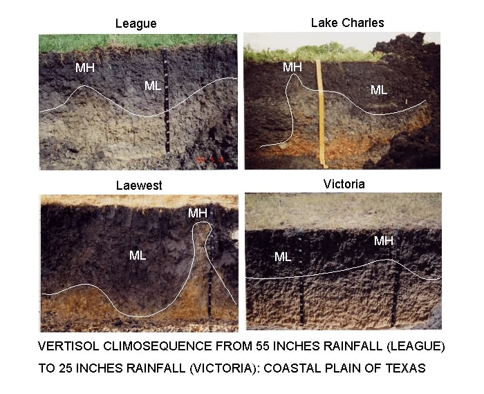 vertisol - JungleKey.fr Image